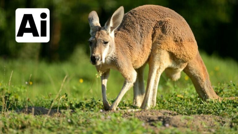 Explaining AI to Students: The Kangaroo Analogy Teachers Guide